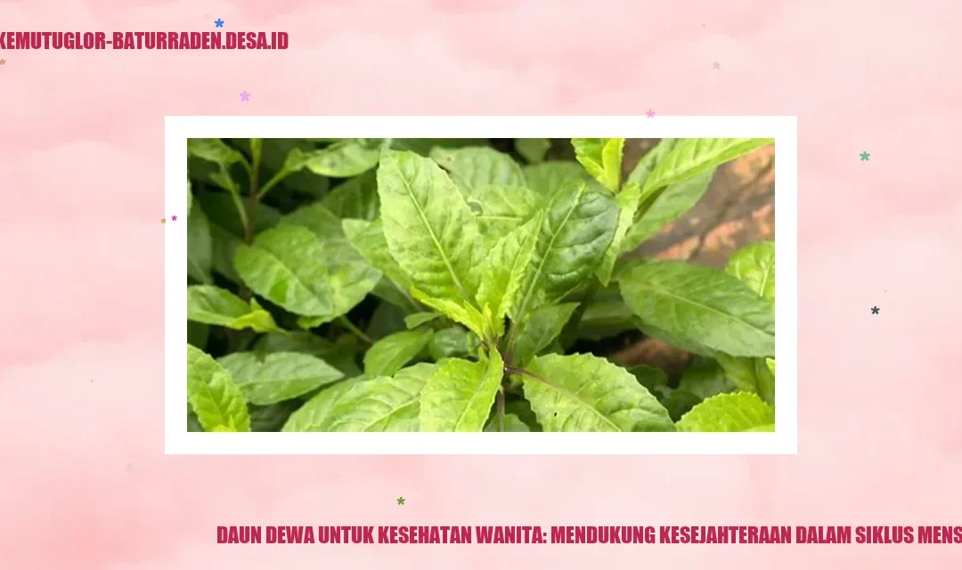 Daun Dewa untuk Kesehatan Wanita: Mendukung Kesejahteraan dalam Siklus ... Daun Dewa untuk Kesehatan Wanita: Mendukung Kesejahteraan dalam Siklus ...