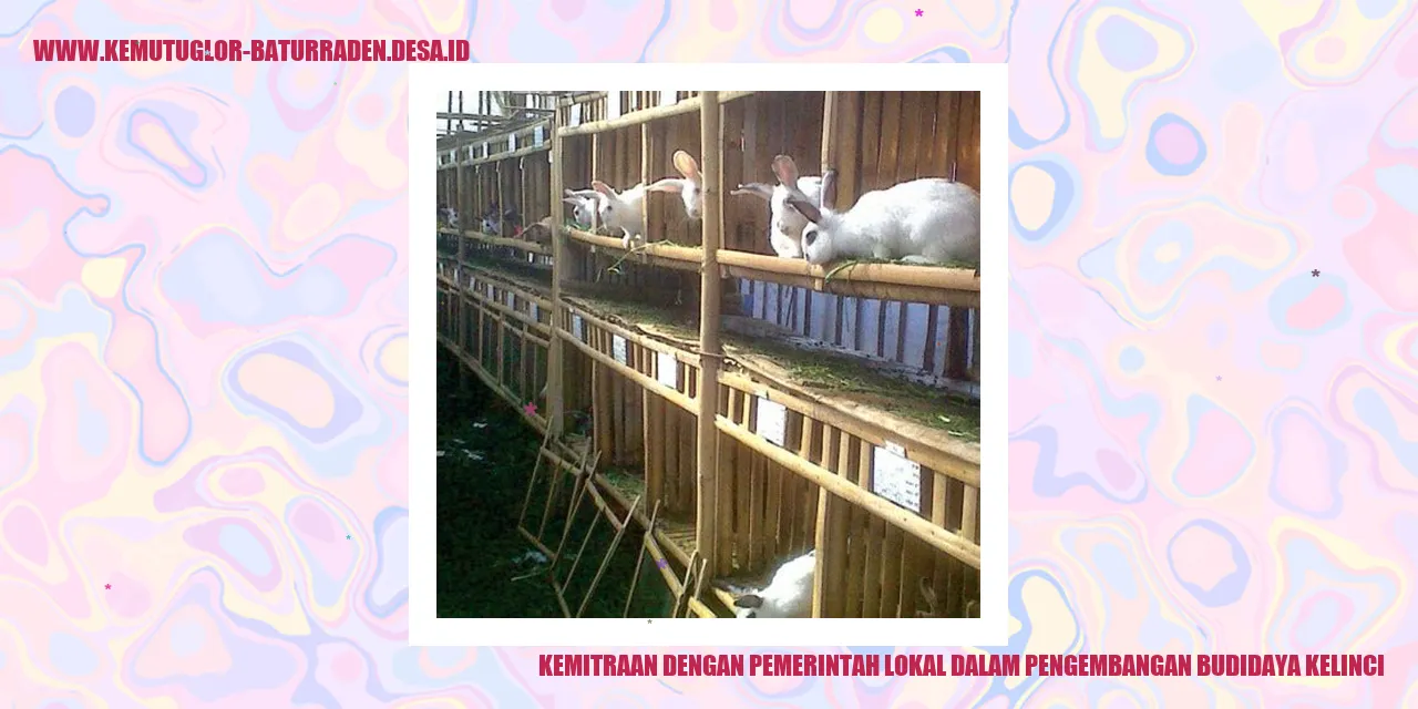 Kemitraan dengan Pemerintah Lokal dalam Pengembangan Budidaya Kelinci ... Kemitraan dengan Pemerintah Lokal dalam Pengembangan Budidaya Kelinci ...