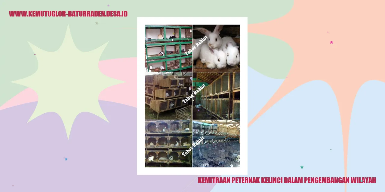 Kemitraan Peternak Kelinci dalam Pengembangan Wilayah - Kemutug LorDesa ... Kemitraan Peternak Kelinci dalam Pengembangan Wilayah - Kemutug LorDesa ...