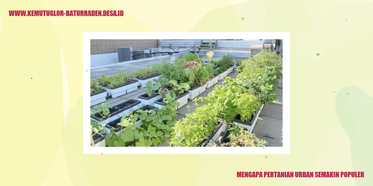 Menjadi Petani Kota: Peluang dan Tantangan di Balik Pertanian Urban - Kemutug LorDesa Kemutug ...